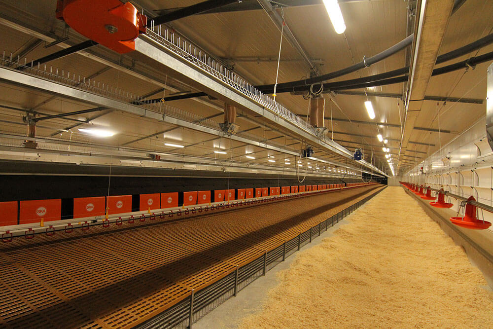Poultry laying nests - Poultry nesting systems - Chicken laying nests ...