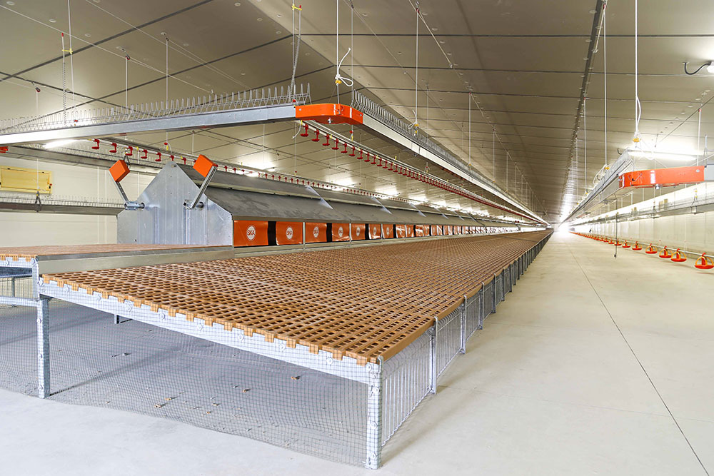 Poultry laying nests - Poultry nesting systems - Chicken laying nests ...